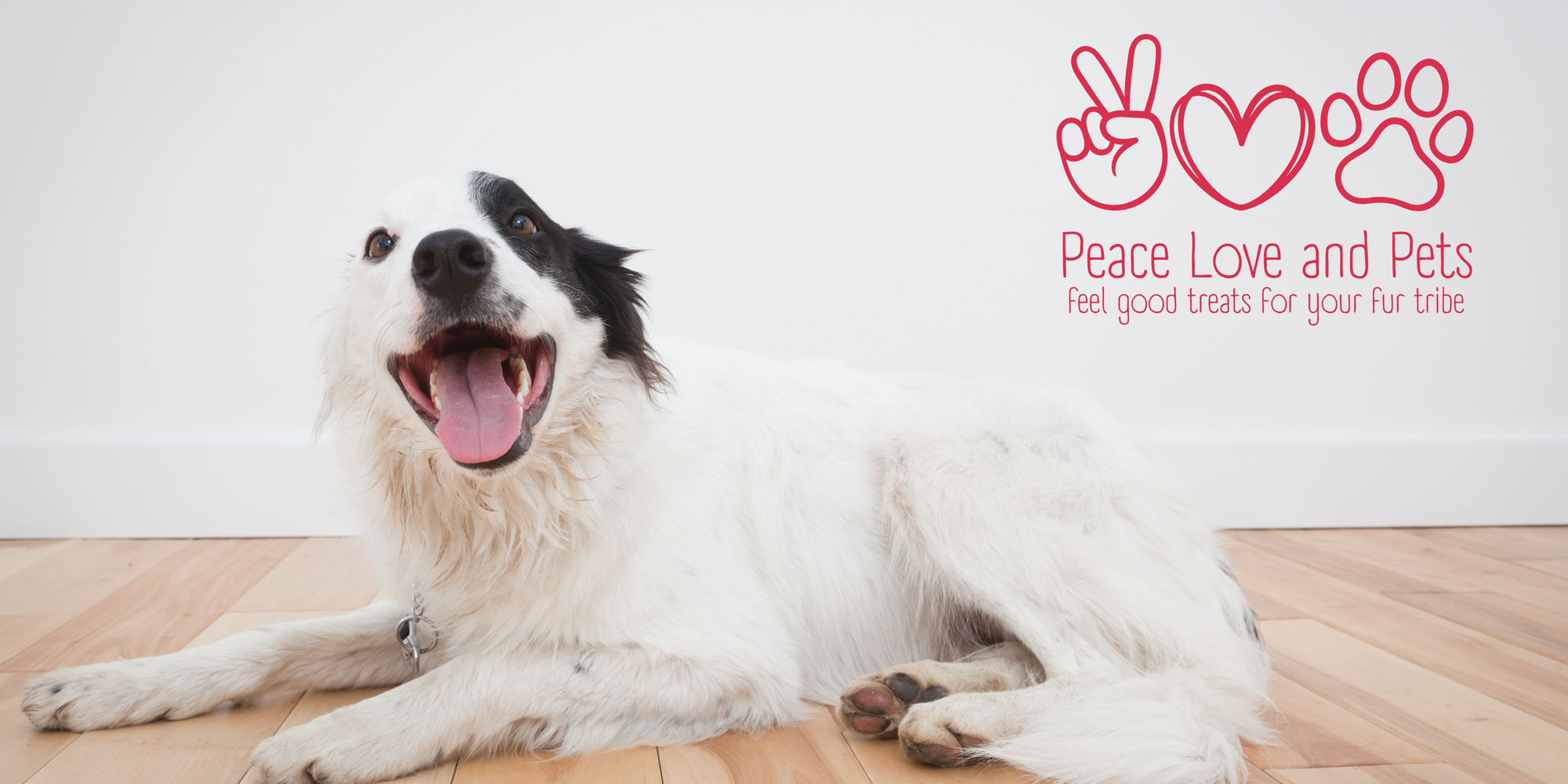 Home Page – Peace Love and Pets